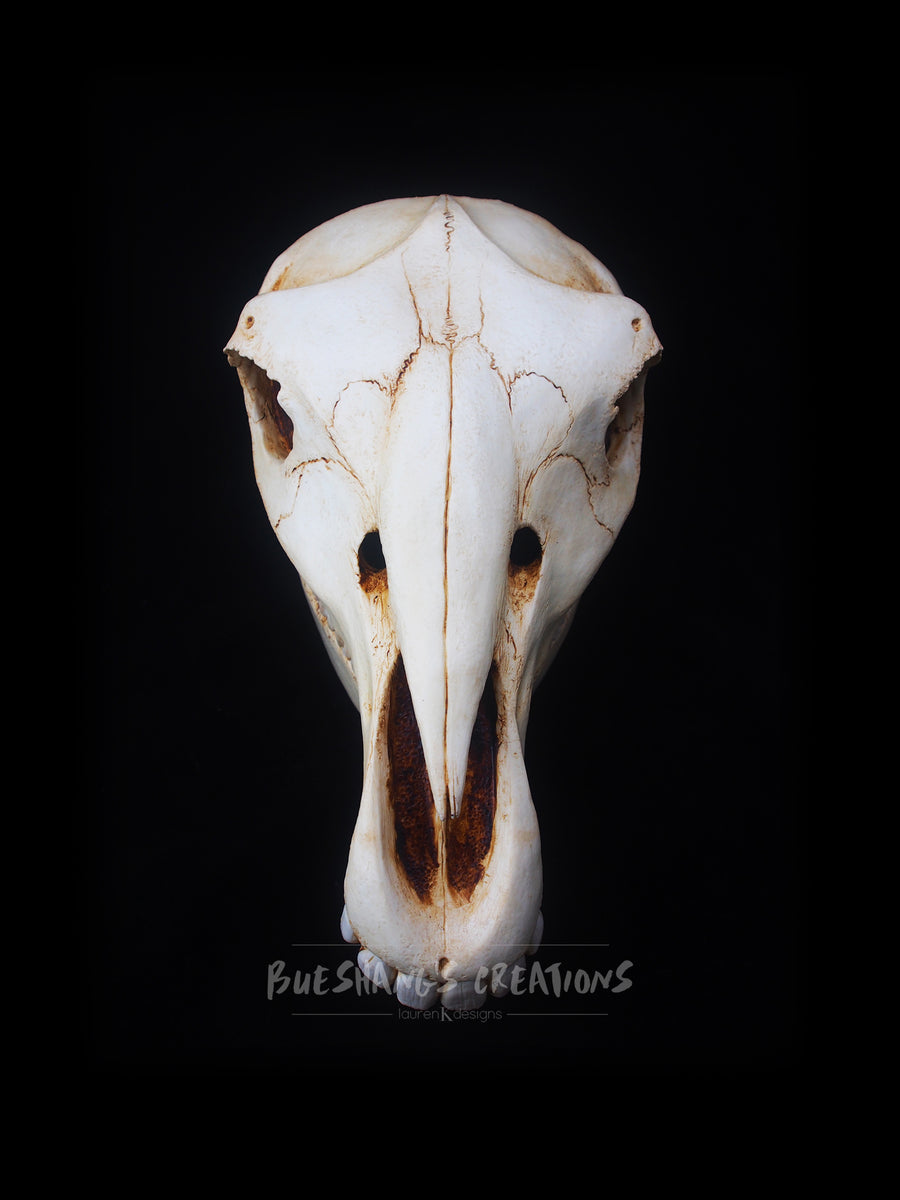 Horse Skull Mask - Full – Bueshang's Creations
